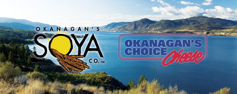 OK Cheese – Shred it, Melt it, Love it!